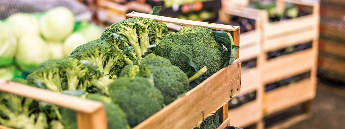 GFTC Traceability Course